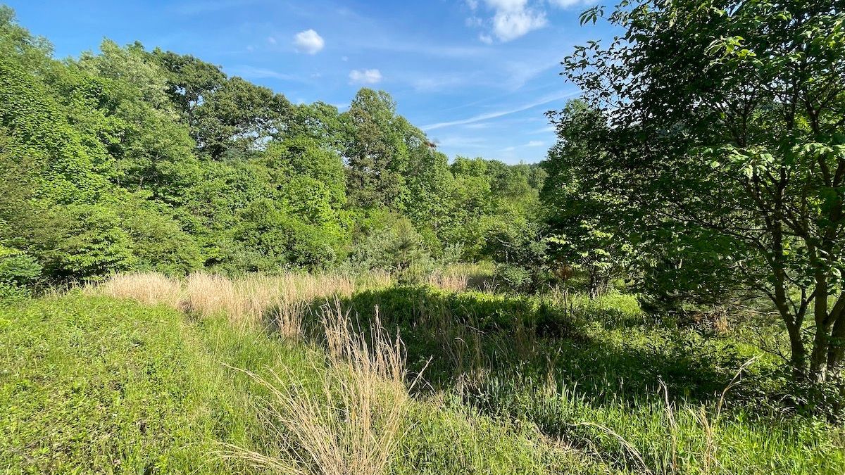 Wooded Country Building Lot With Acreage | Whitetail Properties