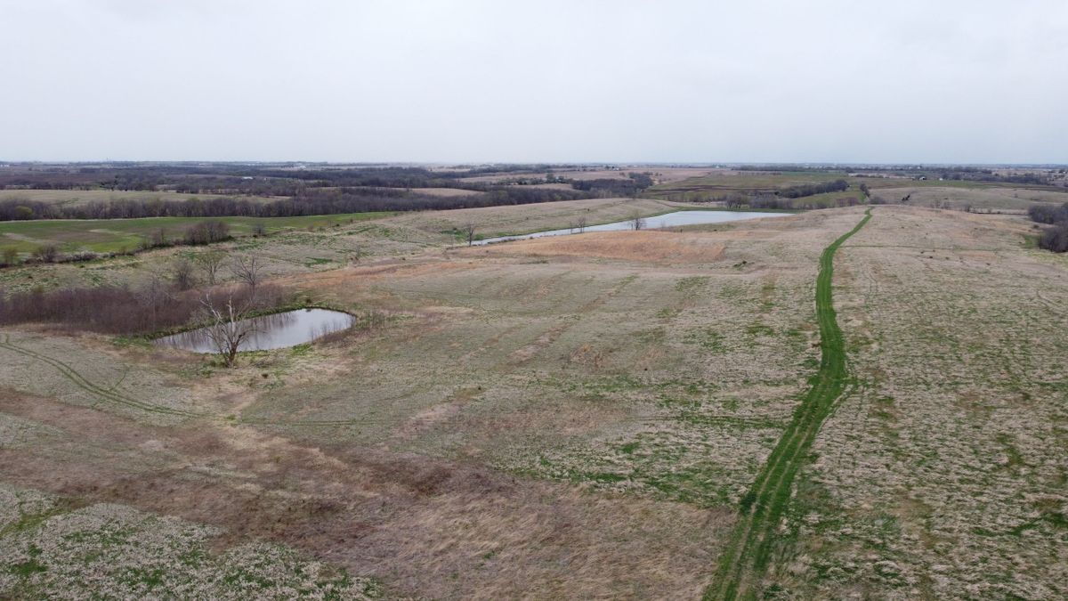 All Around Recreational Farm With Two Ponds | Whitetail Properties