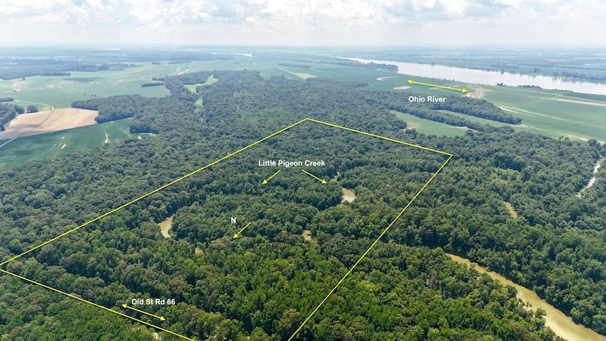 Wildlife-Loaded Retreat On Little Pigeon Creek | Whitetail Properties