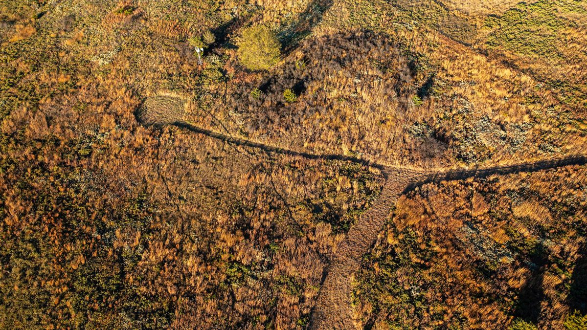 Versatile Farm with Agricultural And Recreational Opportunities ...