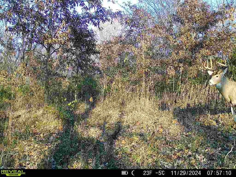 40.4± Acres Bond County IL Hunting And Recreational Land | Whitetail ...