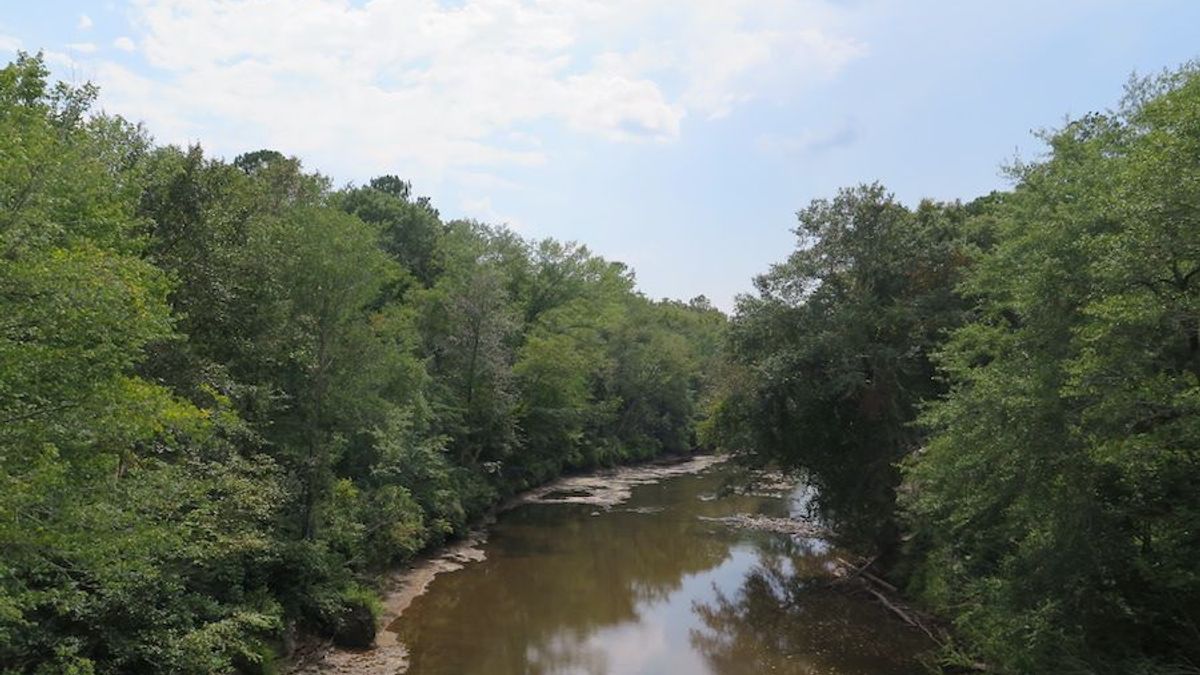 Chunky River Properties | Whitetail Properties