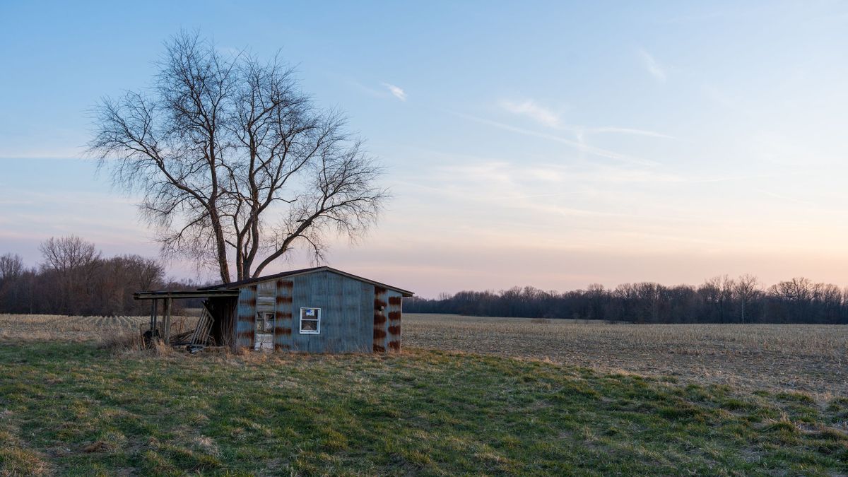 Well-Managed Hunting Property With Income | Whitetail Properties