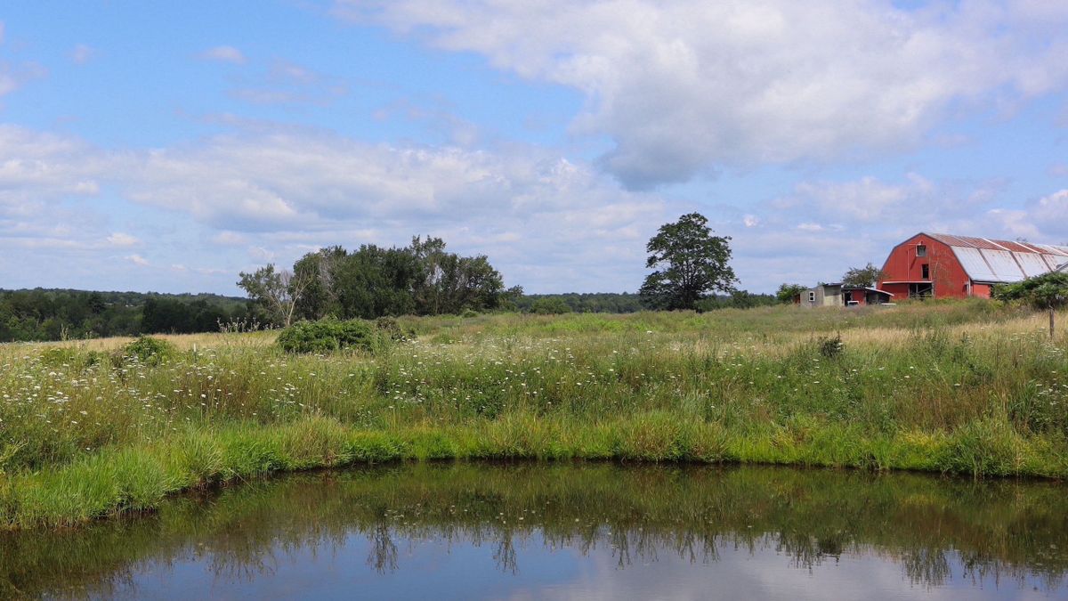 Dairy Farm With Apartment Building 2 Ponds And Stream | Whitetail ...