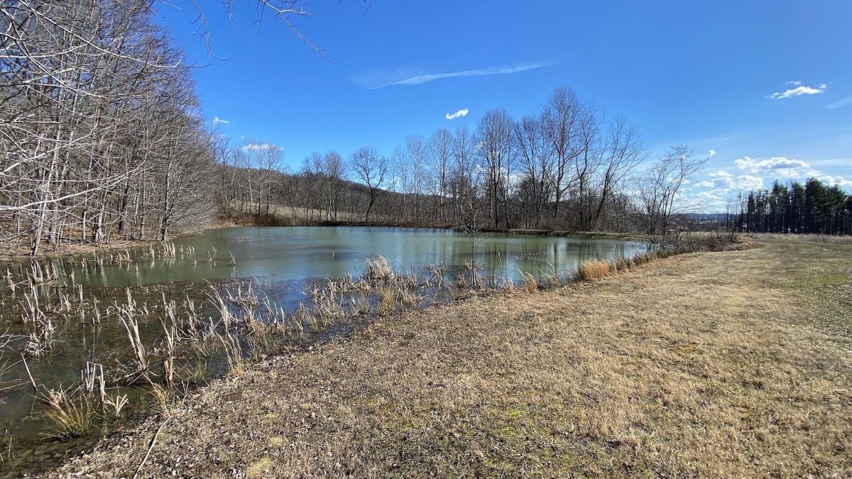 Amazing, Unique Property With Build Sites And Multiple Ponds In ...