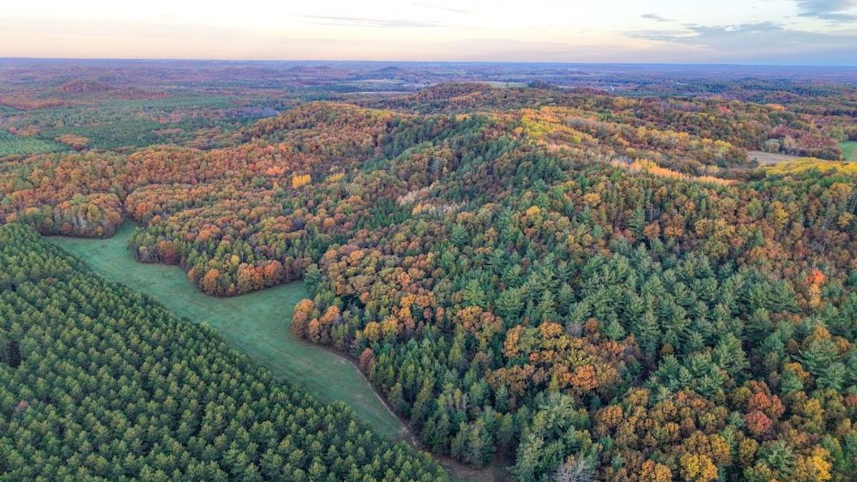 Outstanding Recreational Property With Rolling Topography | Whitetail ...