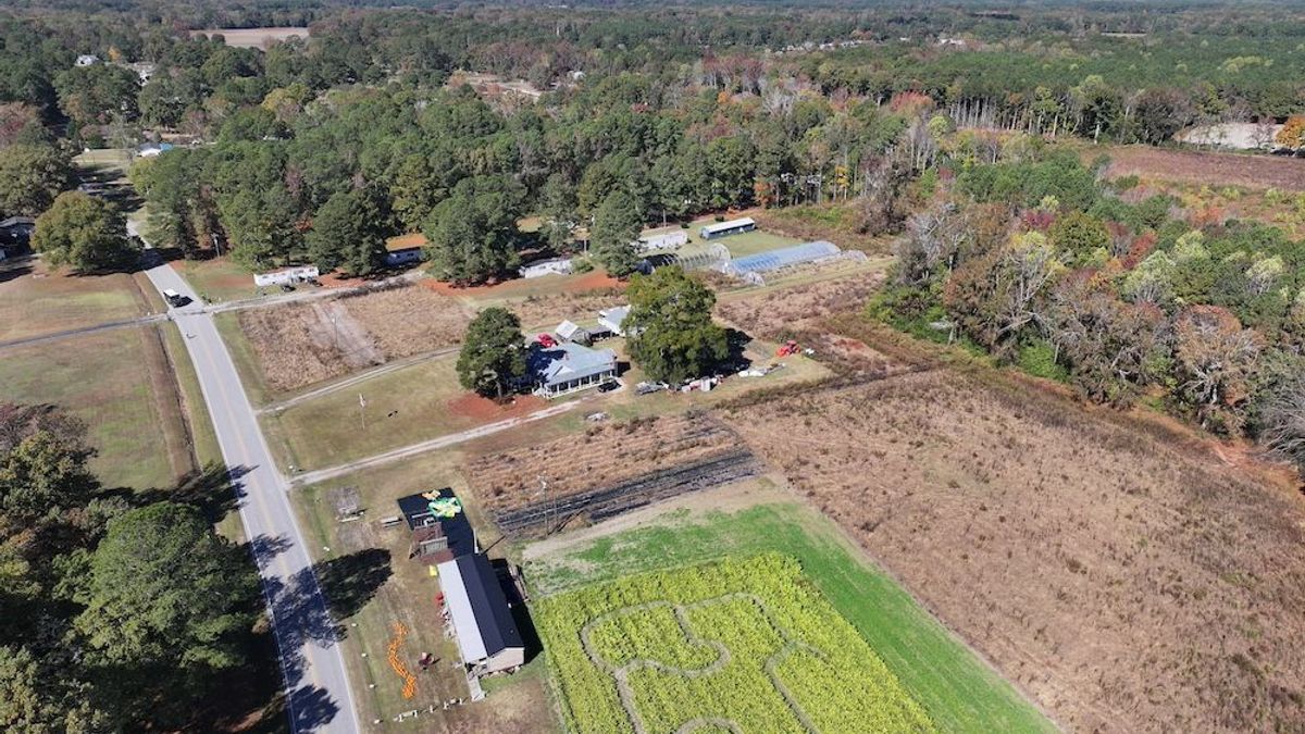 Country Home, Wooded Acreage And Tillable Land All In One | Whitetail ...