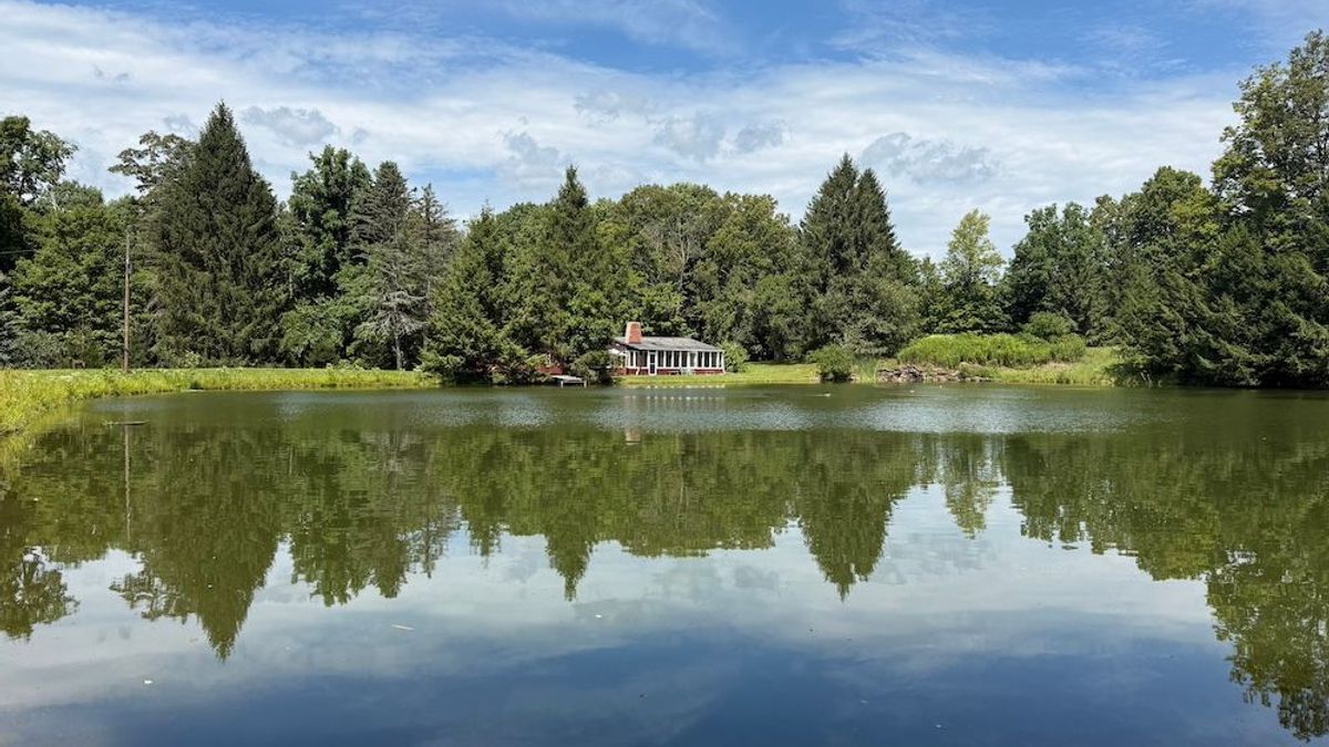 Scenic Property With Ponds, Cottage And Wooded Acreage | Whitetail ...