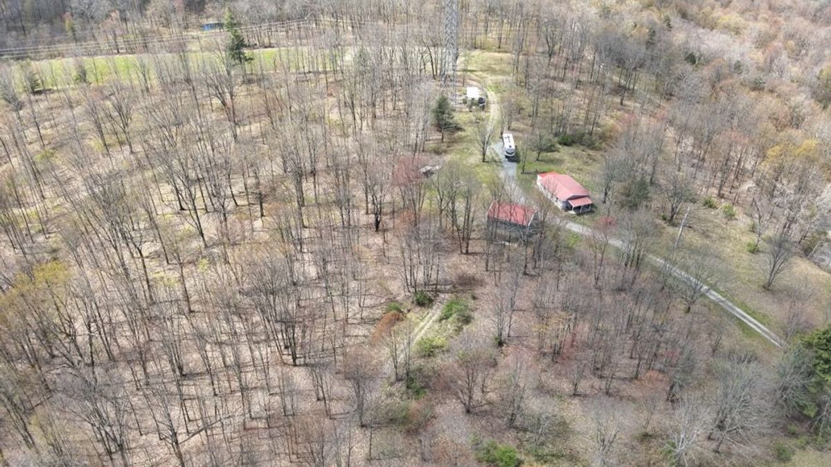 Premier Hunting Property With Camp, Barn And Trail System | Whitetail ...