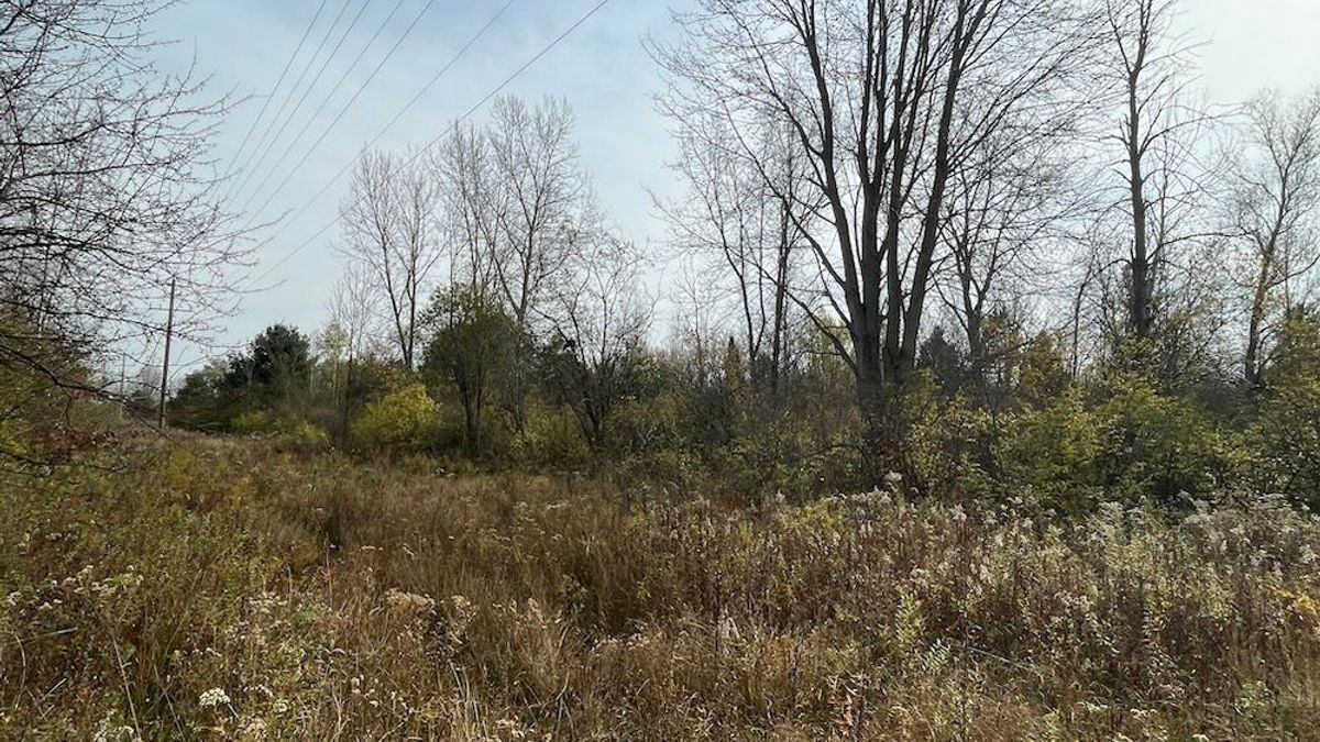 Nice Mid Sized Corner Parcel | Whitetail Properties