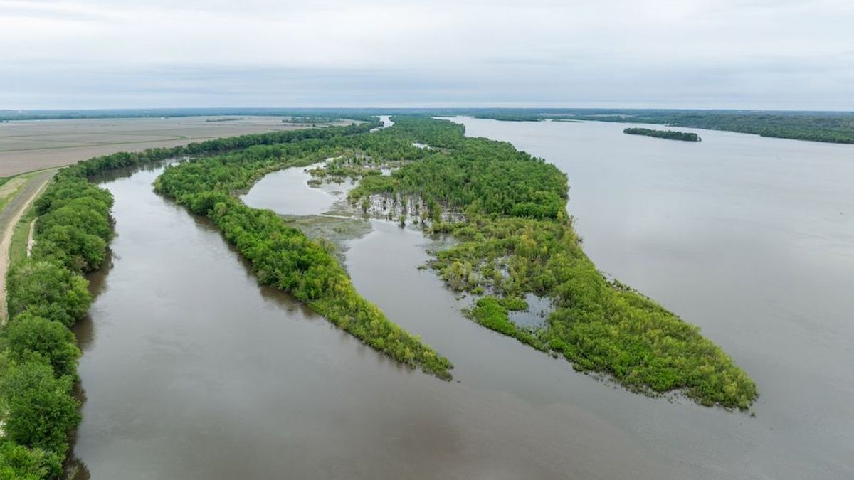Timber Island On The Mississippi River | Whitetail Properties