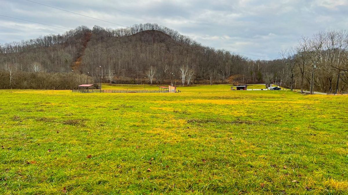 Beautiful Large Acreage Farm Just Miles From I-79 | Whitetail Properties