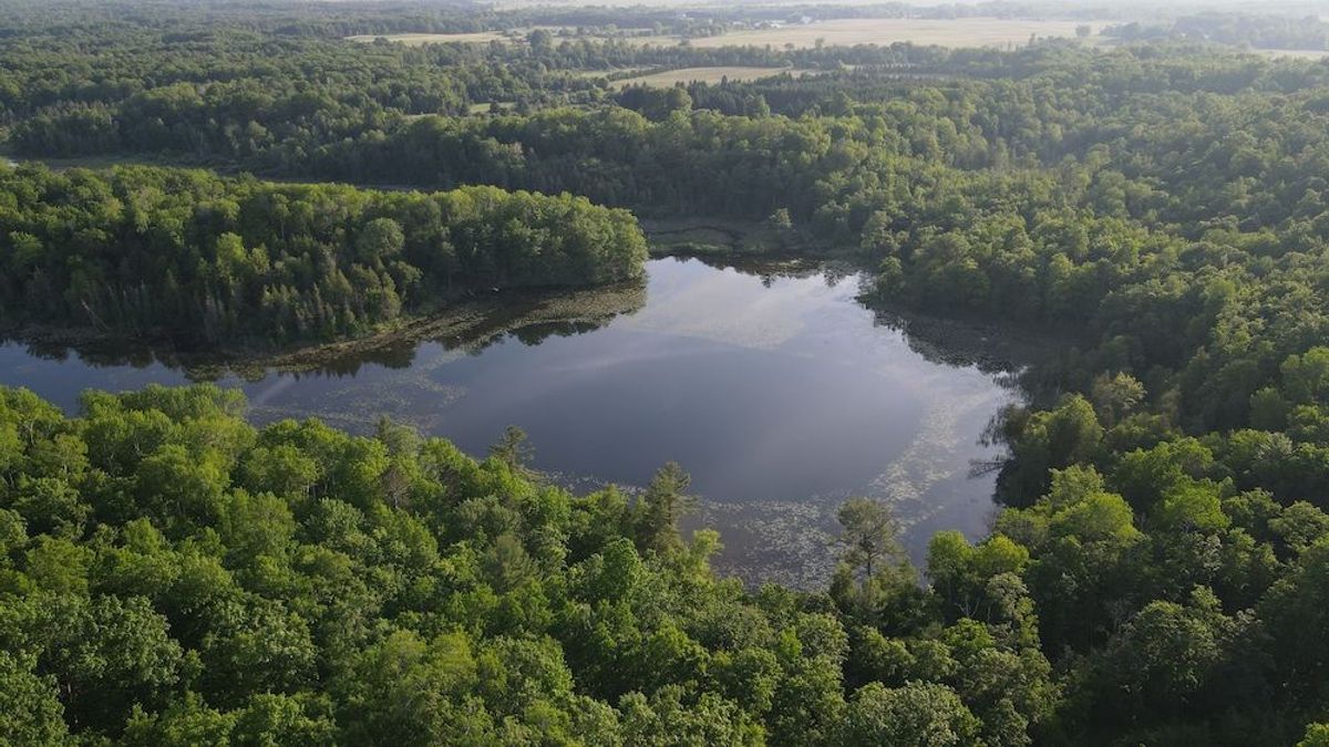 Northern Michigan Gem With Rolling Timber, Tillable Acres And Nester ...