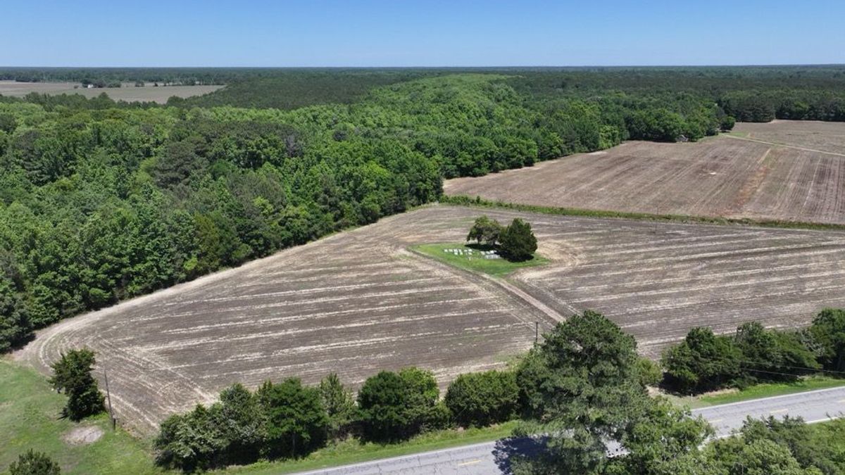 15± Acres Near Jackson NC - Homesite, Hunting And Duck Swamp ...