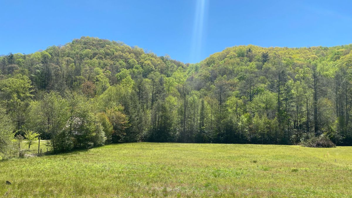 Little Snowbird Getaway Near Robbinsville NC | Whitetail Properties