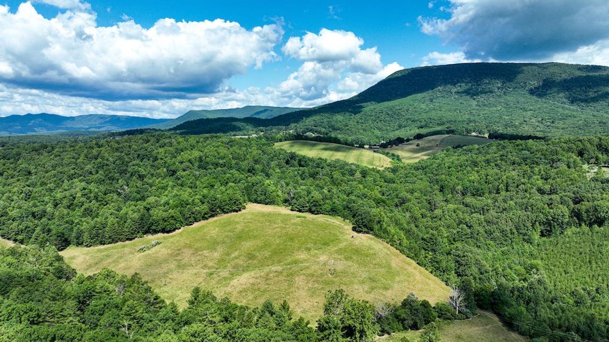 Idyllic Farm Nestled In The Blue Ridge Mountains | Whitetail Properties
