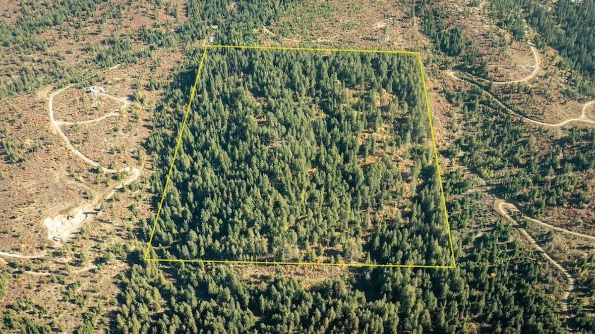 Timbered Parcel With Territorial Views Near Saint Maries | Whitetail ...