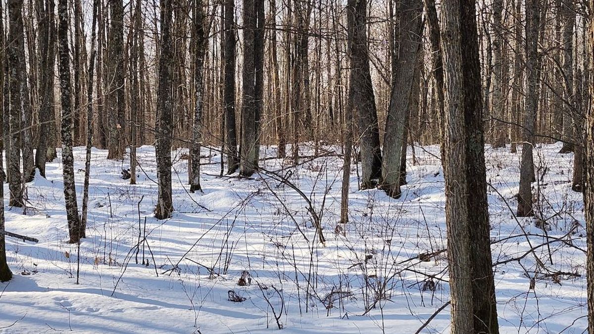Buildable High Rolling Land Near Large Blocks Of Public Land ...
