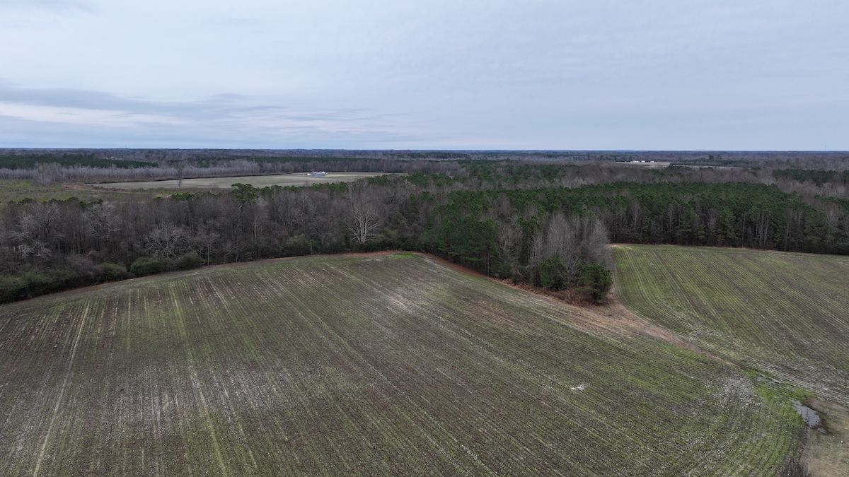 Galloway Road Potential Small Homestead Site | Whitetail Properties