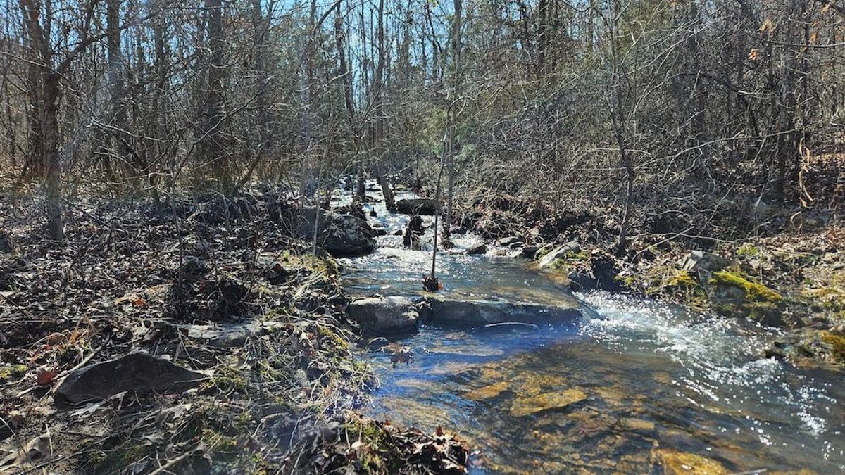 County Road Frontage With Access To Electric and Rural Water With ...