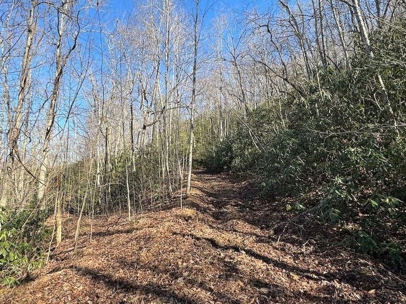 The Fleaback Mountain Retreat With Lake Chatuge Views | Whitetail ...