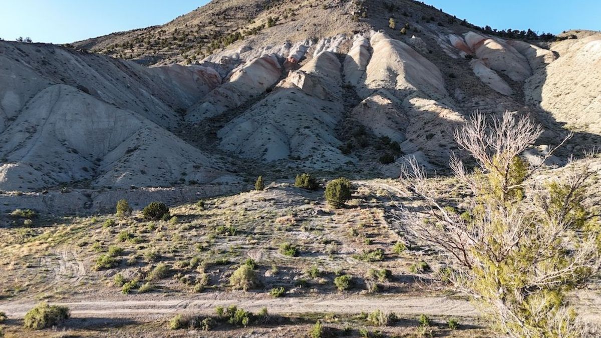 Salina Recreational Property Or Homesite Next To Fish Pond | Whitetail ...