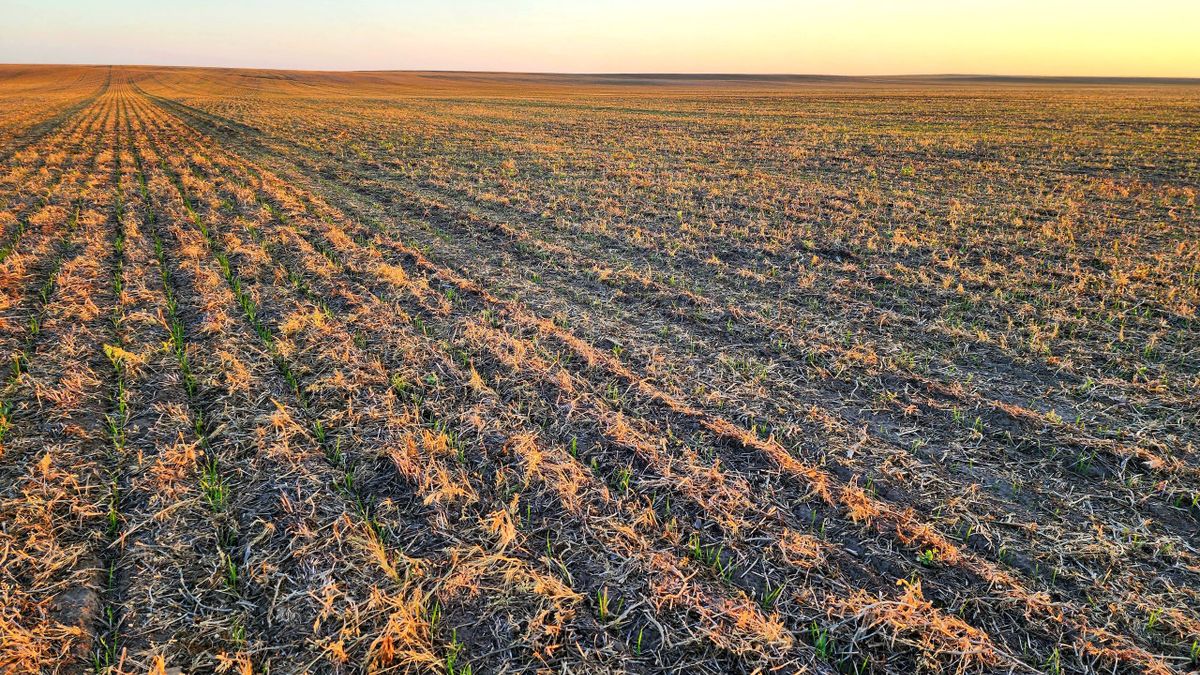 Prime Farmland Investment Opportunity | Whitetail Properties