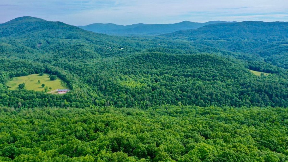 Secluded, Large Timber Tract with Utilities, Trails, And Conservation ...