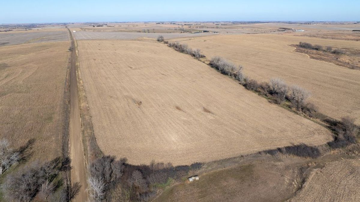 Productive Farmland Near Lewiston NE | Whitetail Properties