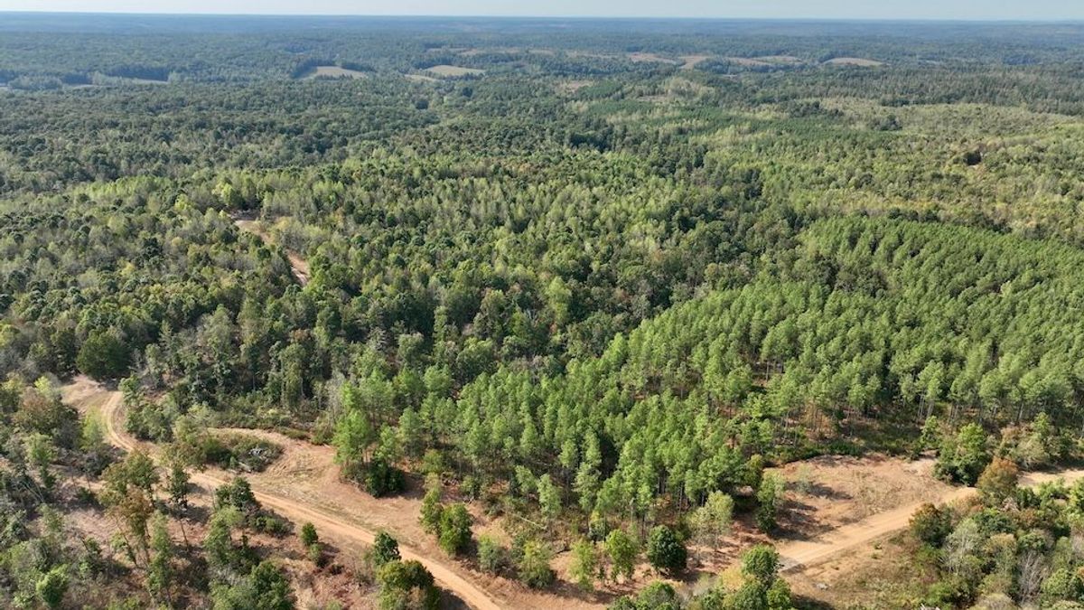 Mostly Timber Hunting Tract- Tract 3 | Whitetail Properties