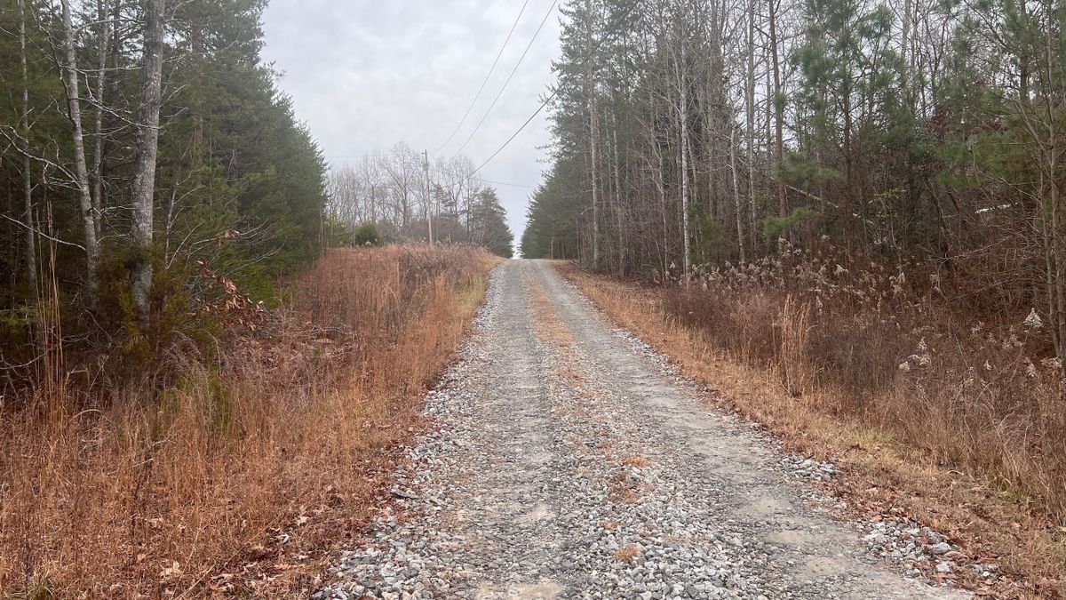 Small Wooded Lot Near South Mountain State Park | Whitetail Properties