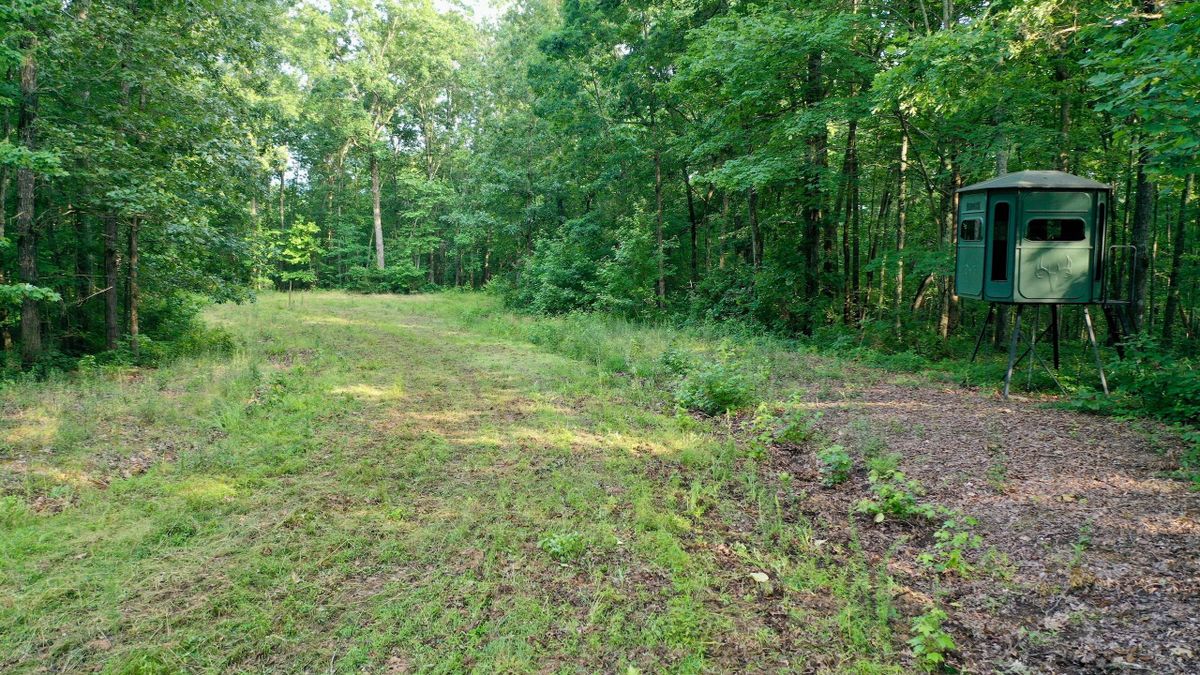Turn-key Hunting Farm In A Great Hunting Community | Whitetail Properties