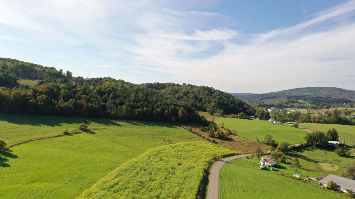 Spacious Acreage with Hunting, Road Frontage, Tillable Fields, and ...