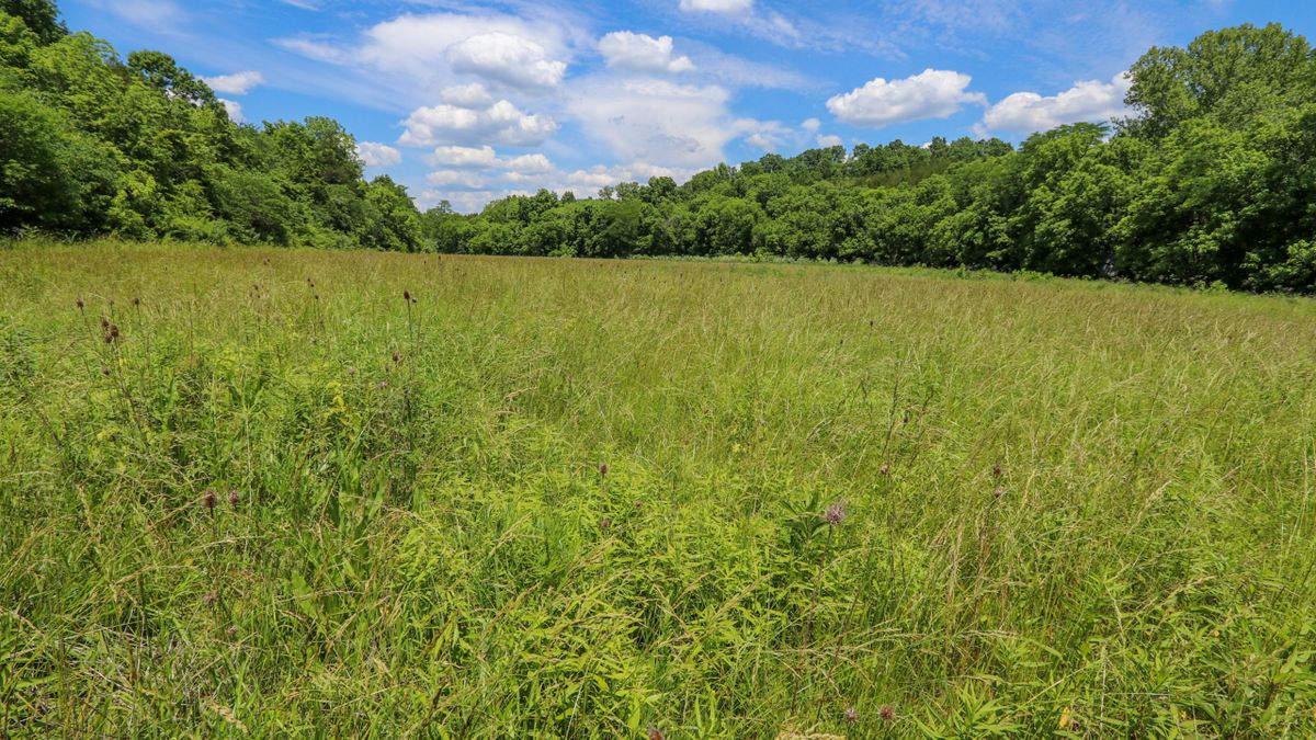 Awesome Recreational Farm With Lots Of Edge And Diversity In North ...