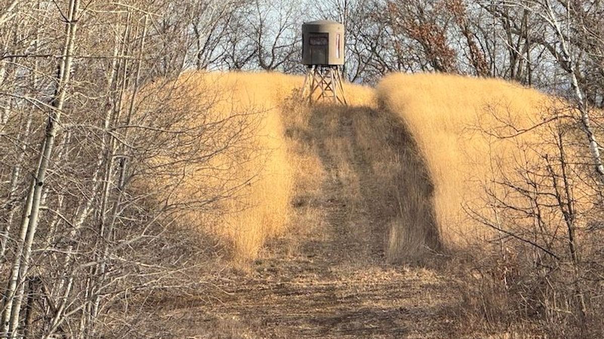 Large Hunting Farm With Tillable Acres Straddling The Buffalo ...