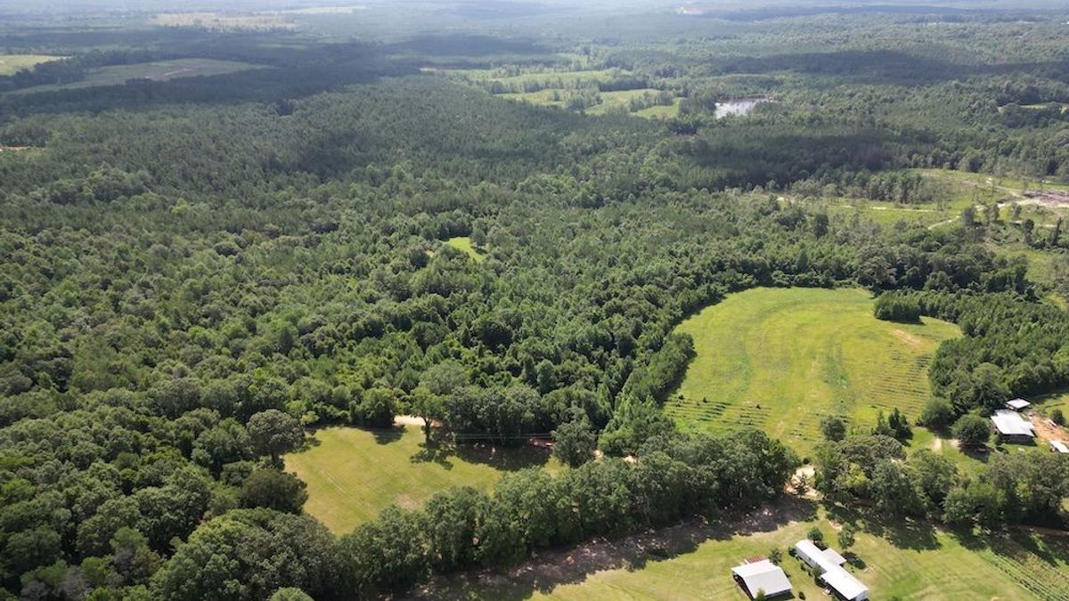 Recreational And Hunting Property With Game Plot And Pasture Area ...