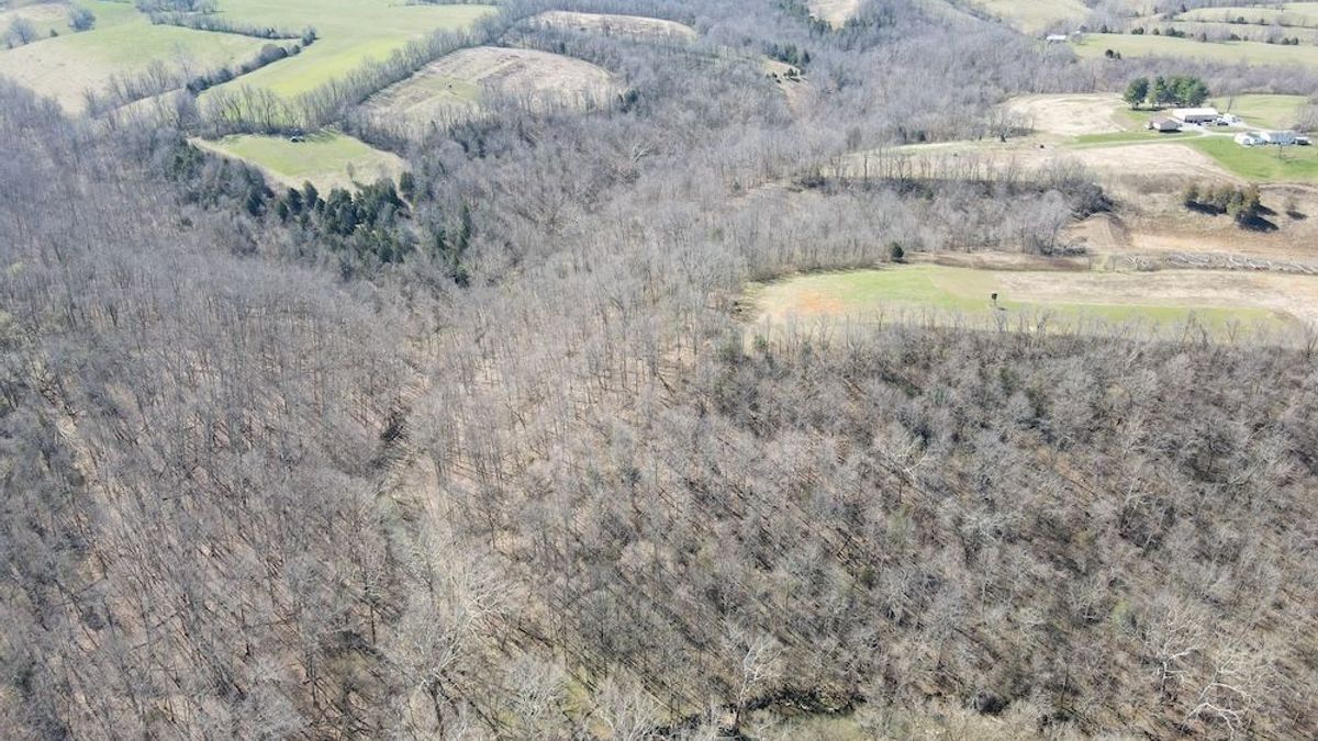 Crick Bottom Farms | Whitetail Properties