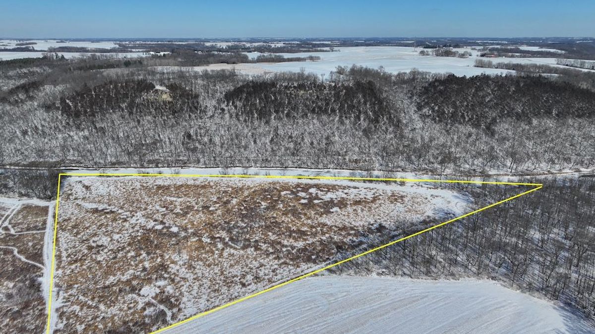 Cannon River CRP Investment And Recreational Tract Near Welch, MN ...