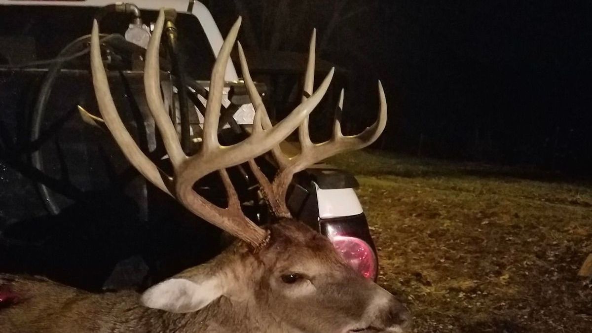 Proven Big Buck Hunting Farm In The Heart of the Midwest | Whitetail ...