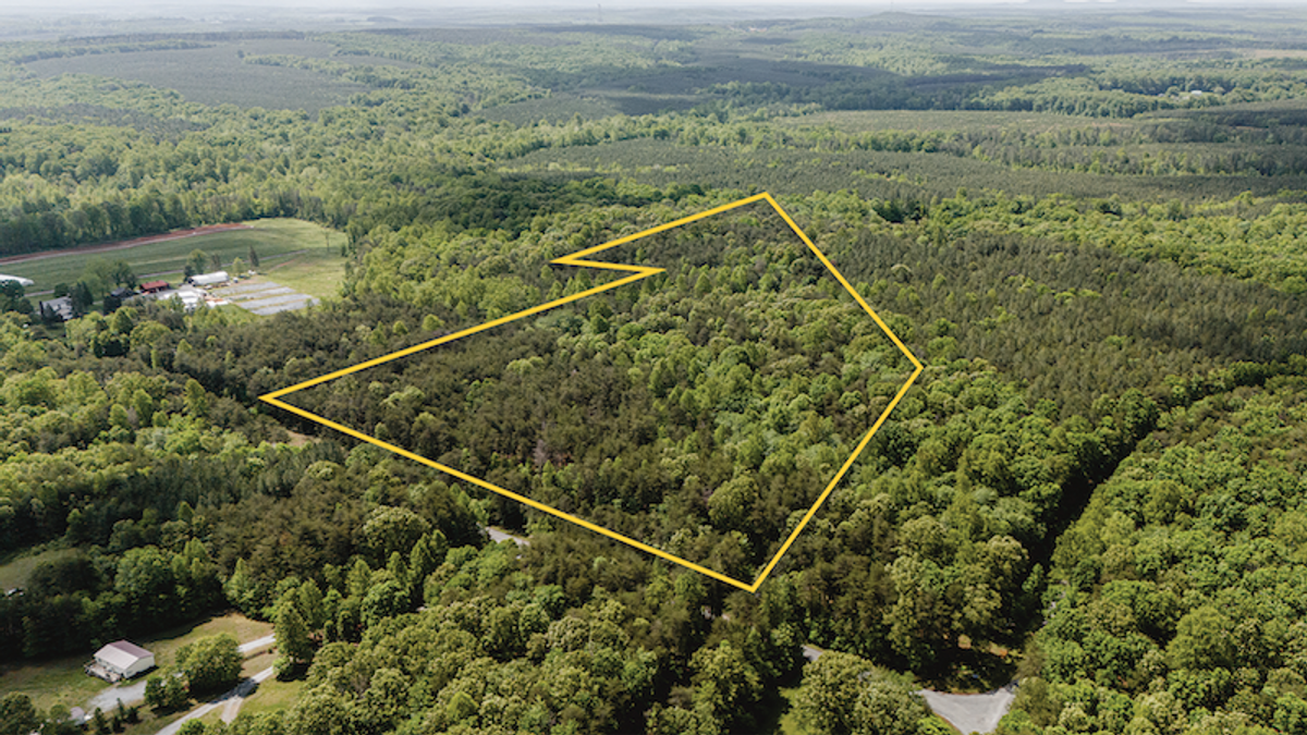Large Acreage Private Wooded Lot Near Dillwyn | Whitetail Properties