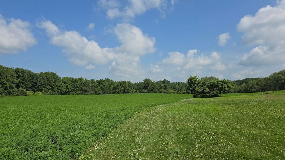 Beautiful, Large Property, Farm, Recreational or Building Lots ...