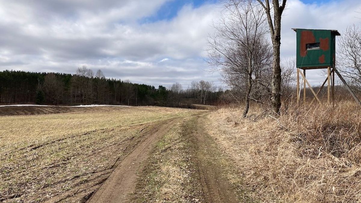 Ideal Combination Of Farmland And Hardwood Timber With Rolling ...