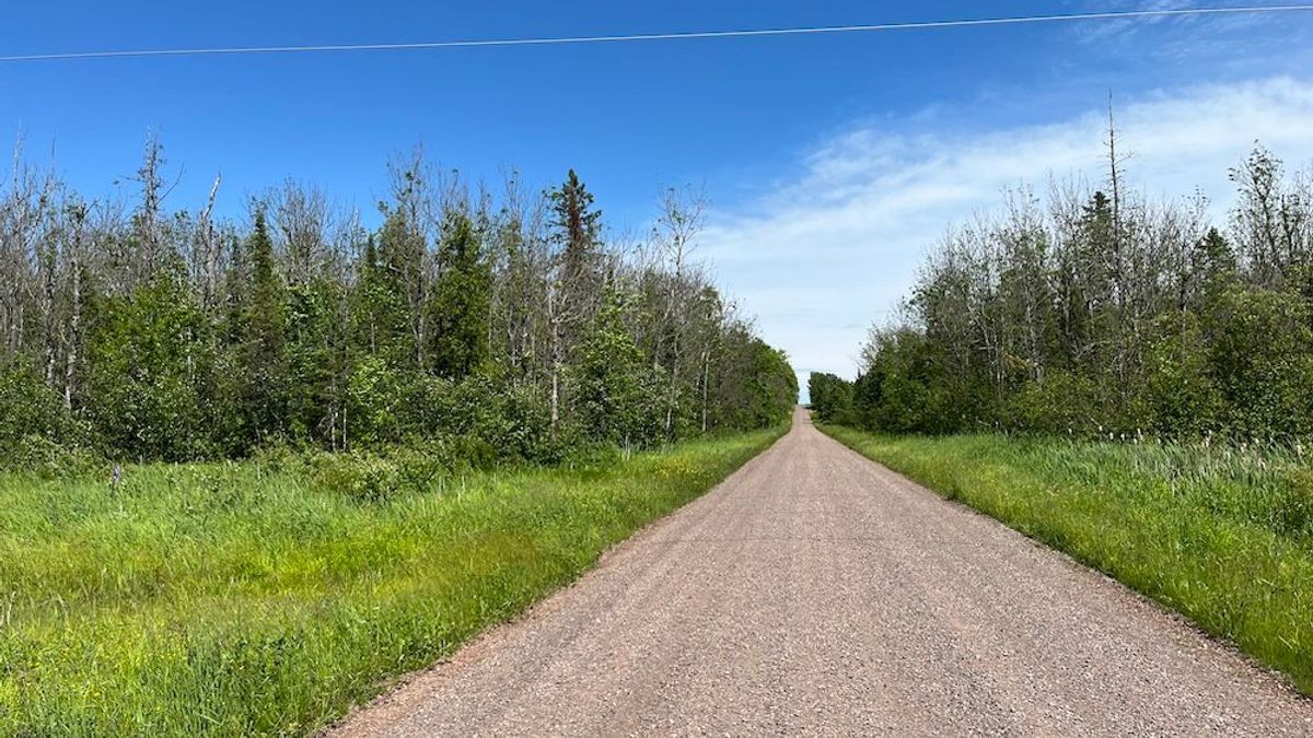 Timbered Hunting Parcel Near The Famed Gile Flowage | Whitetail Properties