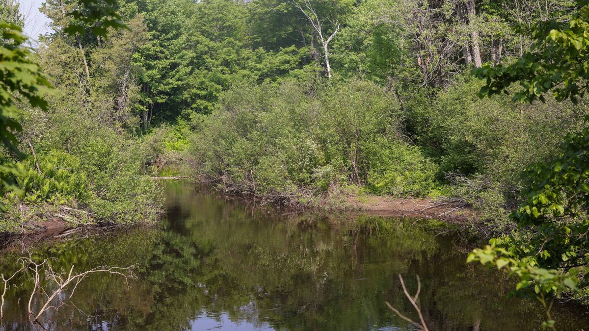 Recreational Tract On East Branch Of The Fox River | Whitetail Properties