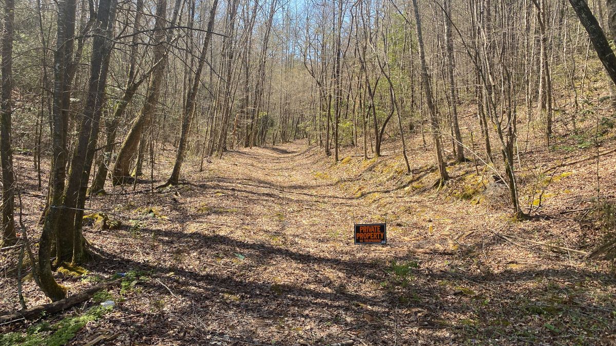 Rolling Topography In Peachtree | Whitetail Properties