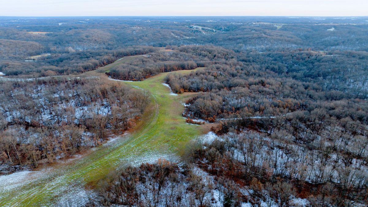 Highly Managed Recreational Timber And Tillable Hunting Land With Lodge ...