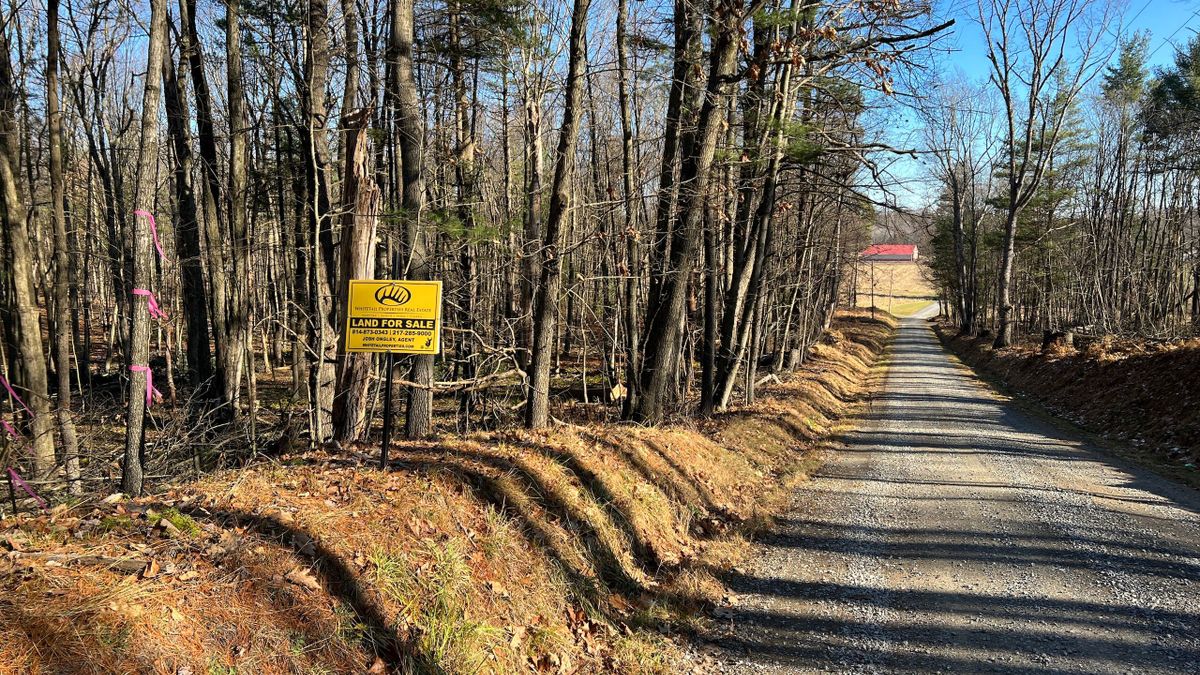 Quiet Parcel On Rural Gravel Road | Whitetail Properties