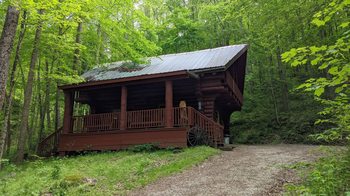 Secluded Log Cabin In The Big Woods | Whitetail Properties