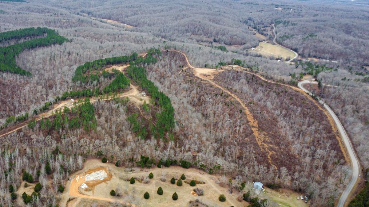 Affordable Hunting Property With Road System And Food Plots | Whitetail ...