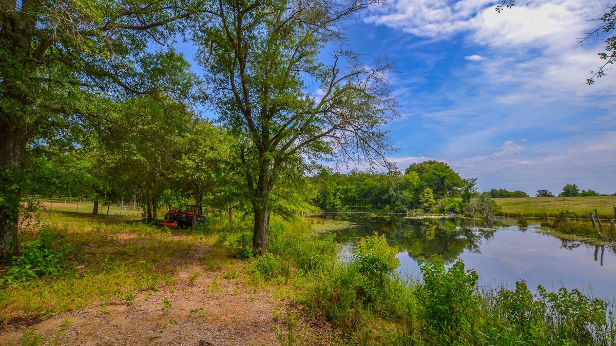 Small Acreage With Multiple Uses | Whitetail Properties